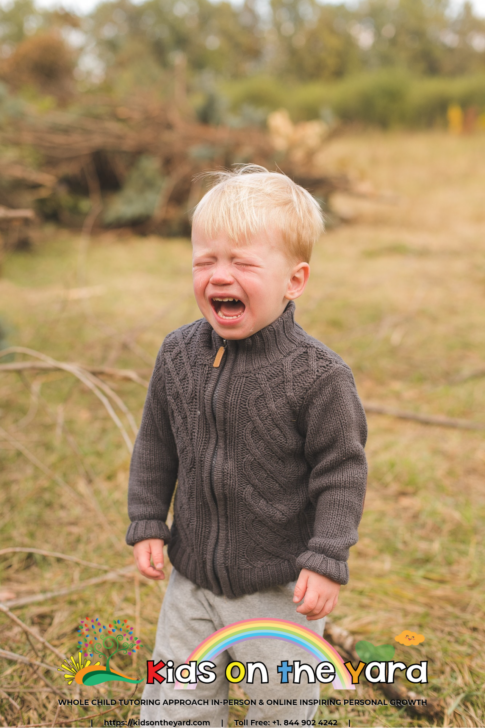 Navigating Emotional Outbursts - Part 1